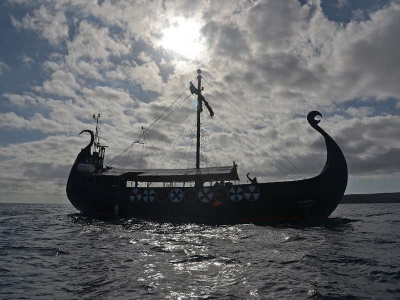Vikings 3908015