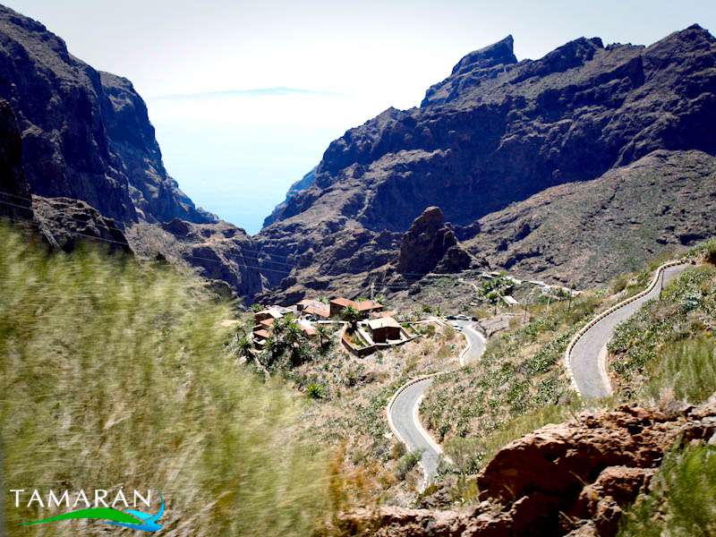 Jeep Safari Teide Masca Tenerife | Atlantico Excursiones